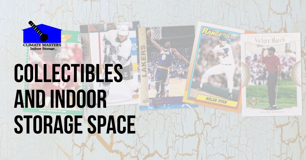 Collectibles and Indoor Storage Space - Summerville, Daniel Island SC